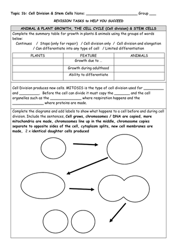 Topic 1 Cell Biology Revision Pack | Teaching Resources