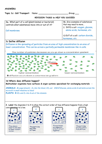Topic 1 Cell Biology Revision Pack | Teaching Resources