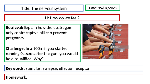 iGCSE/GCSE Biology: The nervous system | Teaching Resources