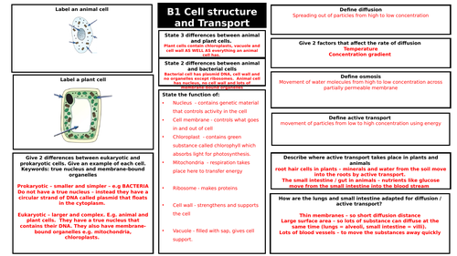 AQA Combined Science Biology Paper 1 Revision mats with answers ...