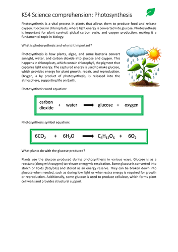 Photosynthesis KS4 comprehension | Teaching Resources
