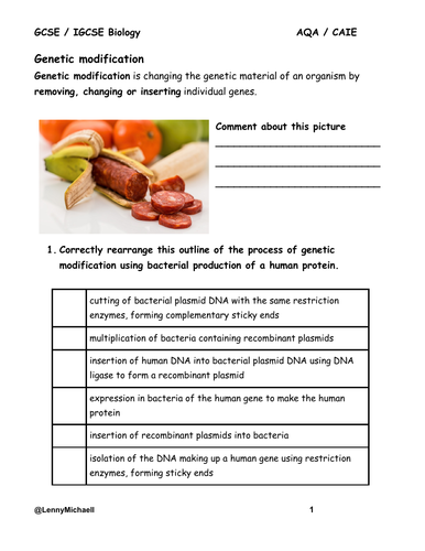 GCSE / IGCSE Biology - Genetic Modification worksheet | Teaching Resources