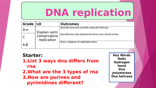 WJEC Unit 1 Med Sci Dna Replication | Teaching Resources