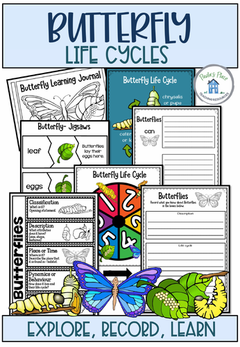 Life Cycle Bundle - Bees, Butterflies, Chickens, Frogs, Ladybugs and ...