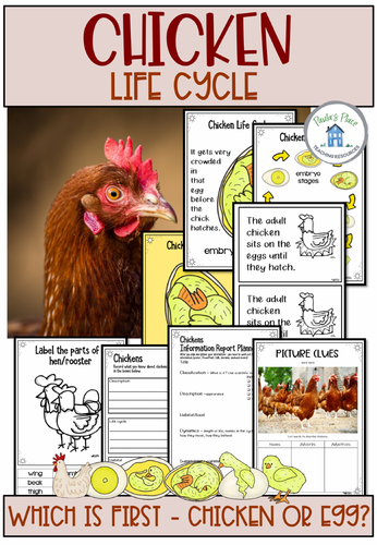 Life Cycle Bundle - Bees, Butterflies, Chickens, Frogs, Ladybugs and ...