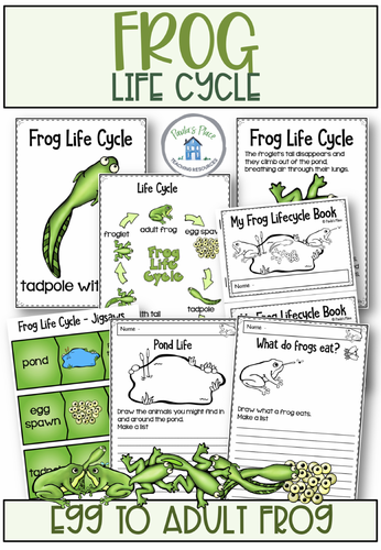 Life Cycle Bundle - Bees, Butterflies, Chickens, Frogs, Ladybugs and ...