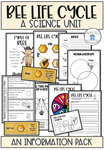 Life Cycle Bundle - Bees, Butterflies, Chickens, Frogs, Ladybugs and ...