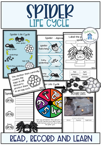 Life Cycle Bundle - Bees, Butterflies, Chickens, Frogs, Ladybugs and ...