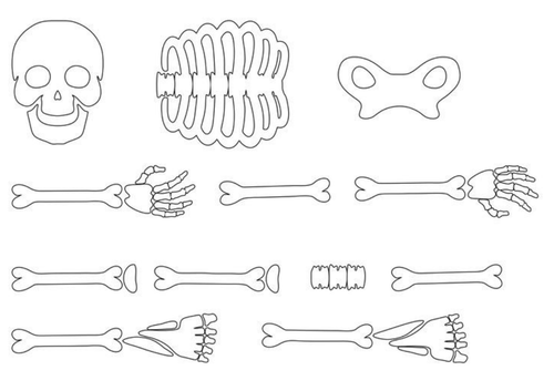 FunnyBones story sack activities | Teaching Resources