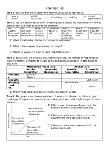 8Db Microscopic Fungi - Lesson 2 of 8D Unicellular Organisms (Exploring ...