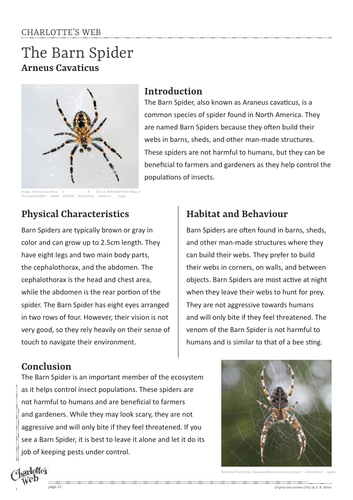 Charlotte's Web - A book study | Teaching Resources