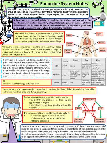 AQA KS4 GCSE Biology (Science) Hormonal Control Revision Lesson ...