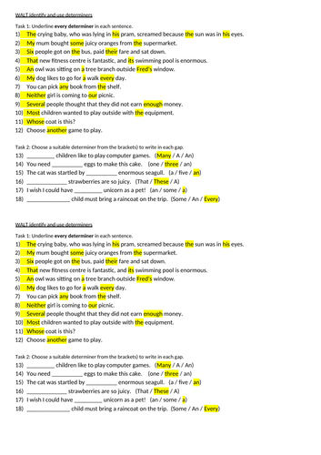 Y6 SPaG REVISION - NOUNS DETERMINERS ADJECTIVES | Teaching Resources