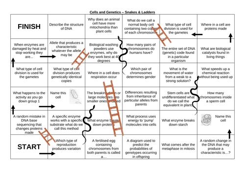 Snakes & Ladders: Cells & Genetics | Teaching Resources