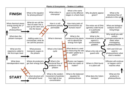 Snakes & Ladders: Plants & Ecosystems | Teaching Resources