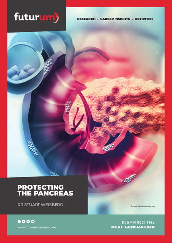 Protecting The Pancreas Teaching Resources