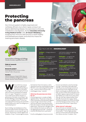Protecting The Pancreas Teaching Resources