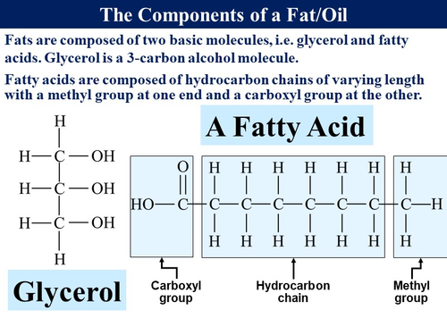 Bio4.1 Biological Molecules - Carbohydrates, Proteins & Fats | Teaching ...