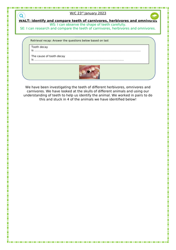 Year 4 Animals including Humans: Full Science Unit | Teaching Resources
