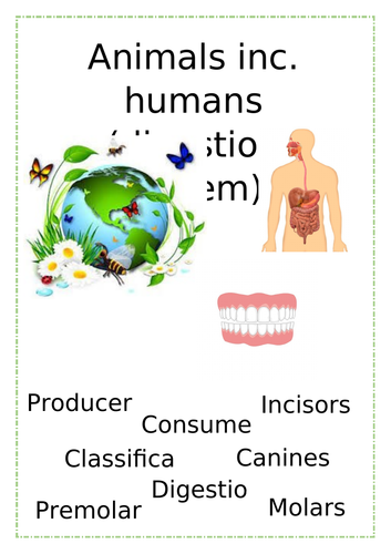 Year 4 Animals including Humans: Full Science Unit | Teaching Resources Year 4 Animals including Humans: Full Science Unit | Teaching Resources
