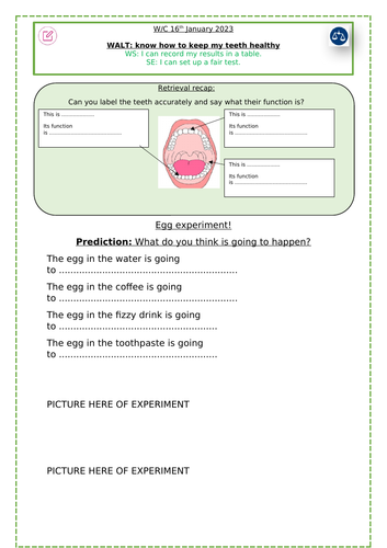 Year 4 Animals including Humans: Full Science Unit | Teaching Resources