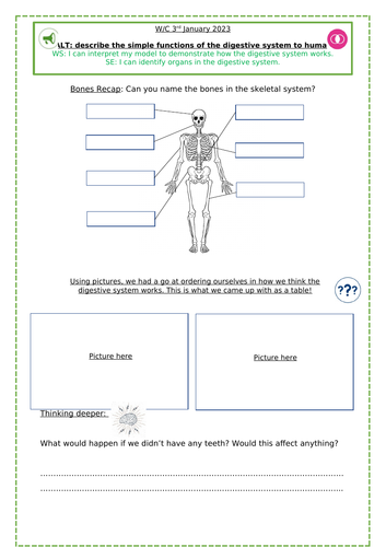 Year 4 Animals including Humans: Full Science Unit | Teaching Resources Year 4 Animals including Humans: Full Science Unit | Teaching Resources