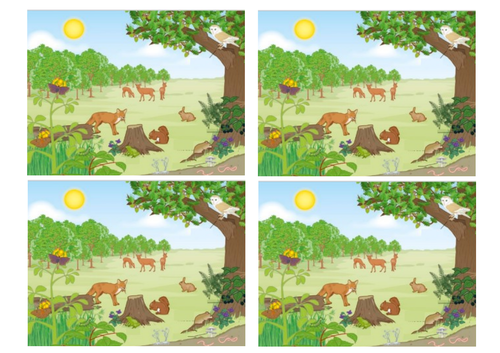 KS3 Ecosystems lesson. Geography / Science. Biomes / Foodchains ...