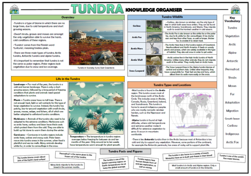 Tundra Knowledge Organiser! | Teaching Resources