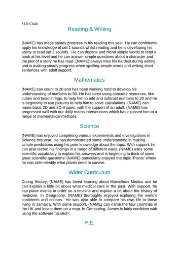 End of Year subject comment for SEN child | Teaching Resources
