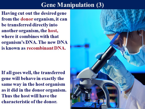 Bio7.20 Genetic Engineering - 1 (Gene Manipulation, Insulin ...