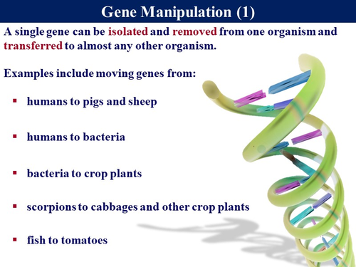 Bio7.20 Genetic Engineering - 1 (Gene Manipulation, Insulin ...