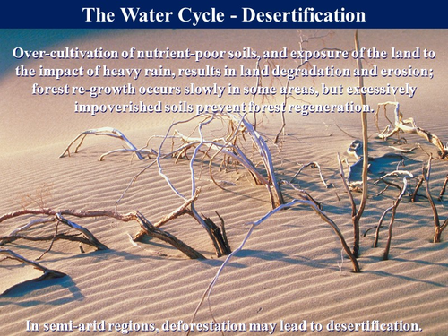 Bio7.10 The Water Cycle | Teaching Resources