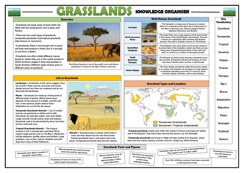 Biomes - Knowledge Organisers Bundle! | Teaching Resources