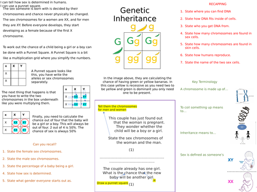 Support Sheets | Teaching Resources