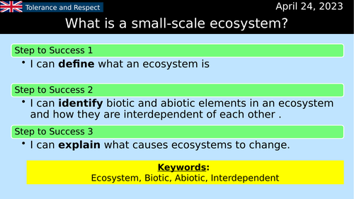 What is a small scale ecosystem? | Teaching Resources