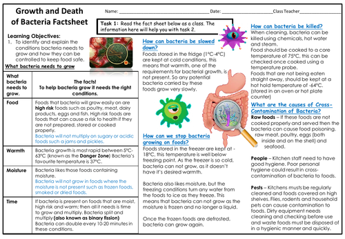 KS4 Revision Worksheet - Bacteria and Keeping Food Safe | Teaching ...