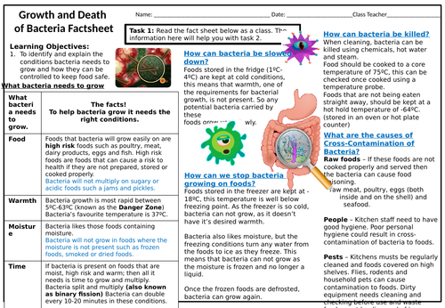 KS4 Revision Worksheet - Bacteria and Keeping Food Safe | Teaching ...