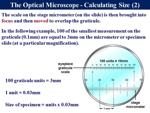 Bio1.0 Measuring in Biology | Teaching Resources