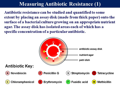 Bio3.9 Drugs - Antibiotics & Painkillers | Teaching Resources