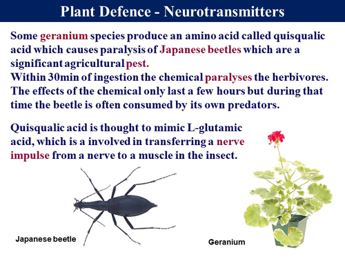 Bio3.11 Plant Defence & Animal Metabolism | Teaching Resources