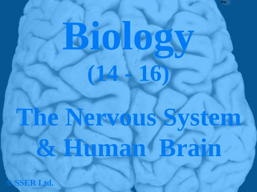 Bio5.11 The Nervous System & Human Brain | Teaching Resources