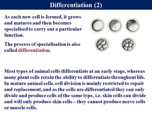 Bio6.3 Meiosis - Gametes & Variation | Teaching Resources
