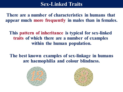Bio6.9 Sex Determination in Humans | Teaching Resources
