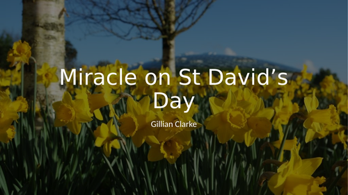 Miracle on St David's Day by Gillian Clarke | Teaching Resources