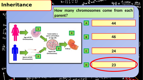 AQA KS4 GCSE Biology (Science) Cell Division Revision Lesson ...