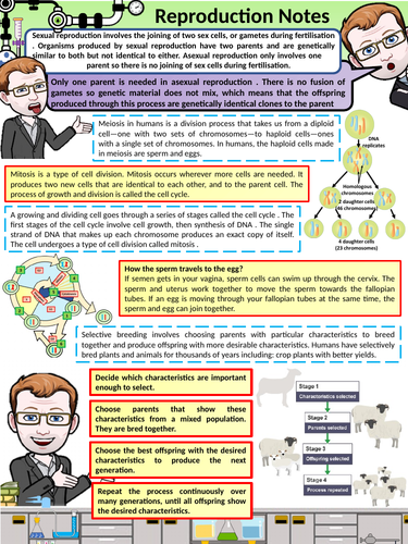 AQA KS4 GCSE Biology (Science) Cell Division Revision Lesson ...