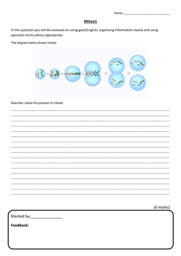 AQA KS4 GCSE Biology (Science) Cell Division Revision Lesson ...