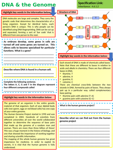 AQA KS4 GCSE Biology (Science) Cell Division Revision Lesson ...