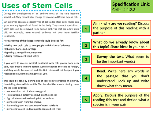AQA KS4 GCSE Biology (Science) Cell Division Revision Lesson ...