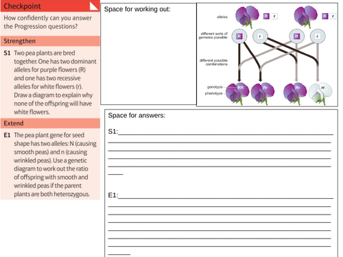 AQA B6 Inheritance, variation and evolution | Teaching Resources AQA B6 Inheritance, variation and evolution | Teaching Resources